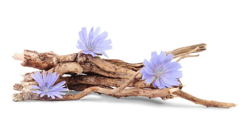 Inulin – A Prebiotic Fibre With Powerful Health Benefits - Power Supply
